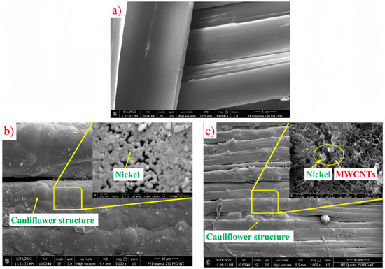 Surface Modification of Ultra-High-Molecular-Weight Polyethylene and Applications: A Review