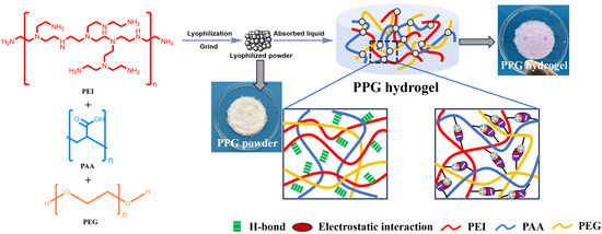 A Self-Gelling Powder Based on Polyacrylic Acid/Polyethyleneimine ...
