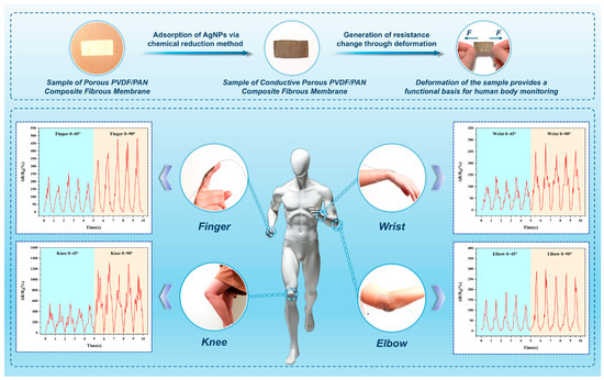 Preparation and Characterization of Highly Conductive PVDF/PAN ...