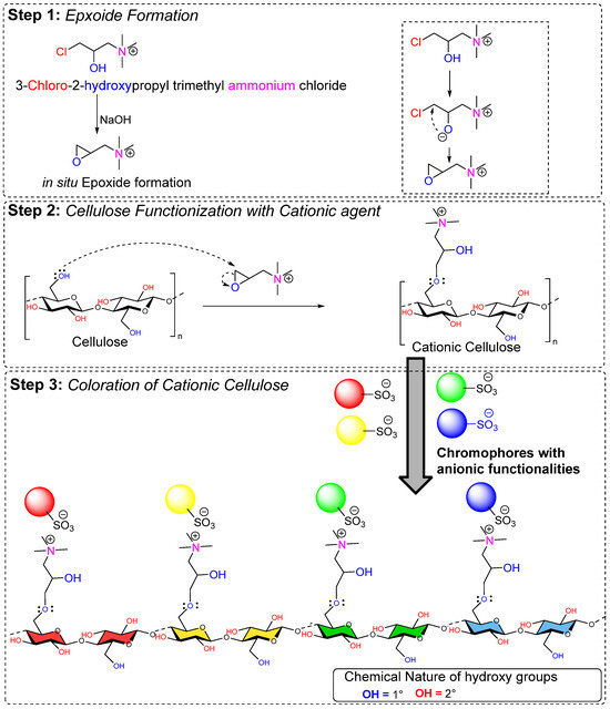 Cationized Cellulose Materials: Enhancing Surface Adsorption Properties ...