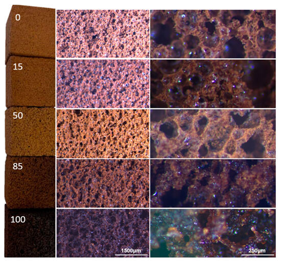 Comparing Hydrolysable and Condensed Tannins for Tannin Protein-Based Foams