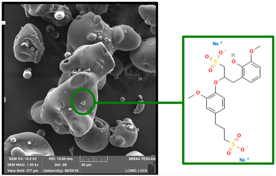 A Systematic Study of the Structural Properties of Technical Lignins