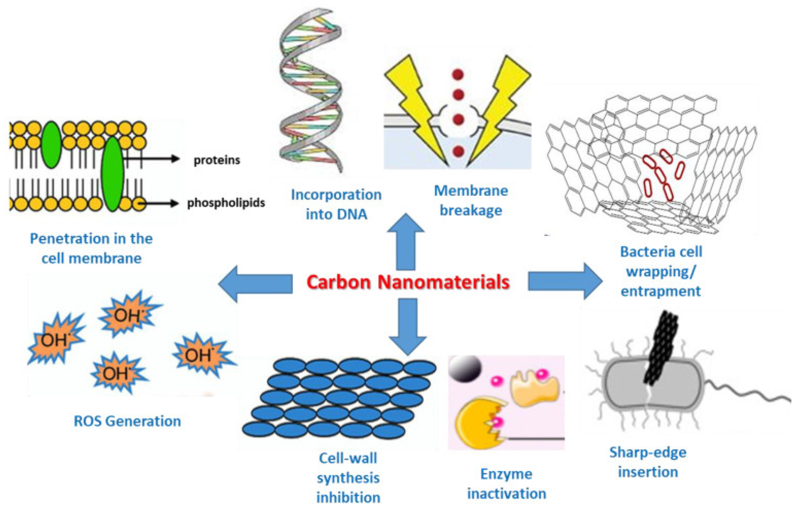 Nanoparticle-Doped Antibacterial and Antifungal Coatings