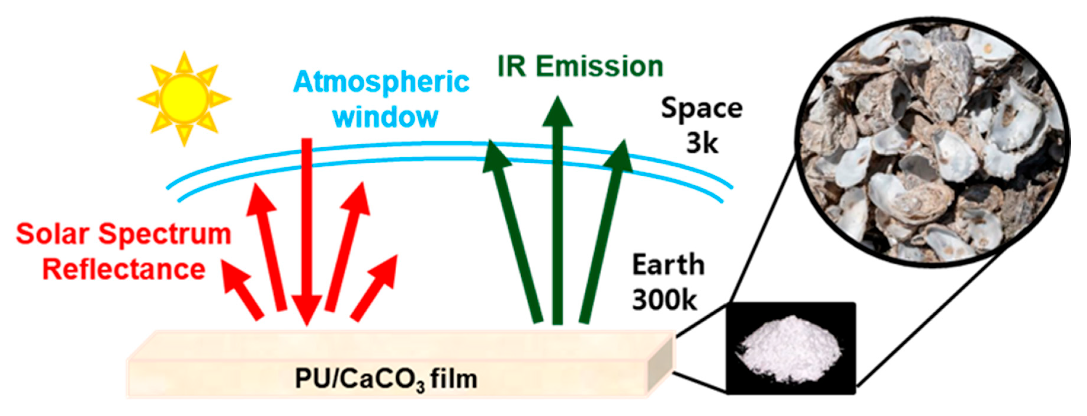 Turning Discarded Oyster Shells into Sustainable Passive Radiative ...
