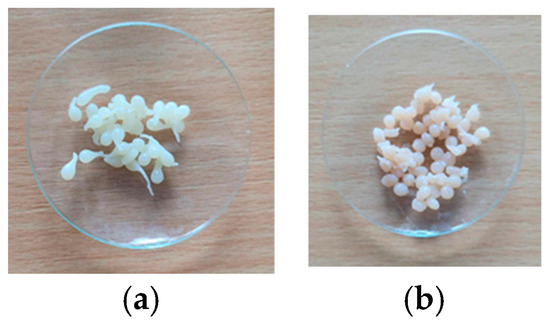 Eco-Friendly Biosorbents from Biopolymers and Food Waste for Efficient ...
