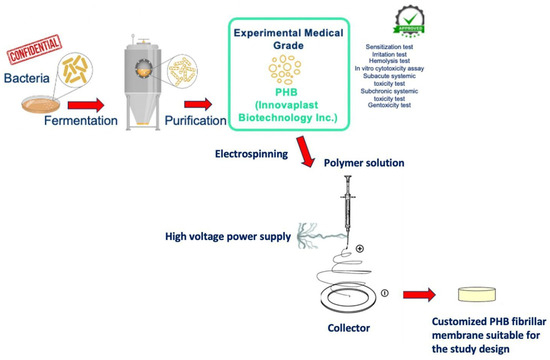 Polyhydroxybutyrate as a Novel Biopolymer for Dental Restorative ...