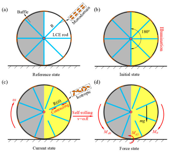 The Light-Fueled Stable Self-Rolling of a Liquid Crystal Elastomer ...