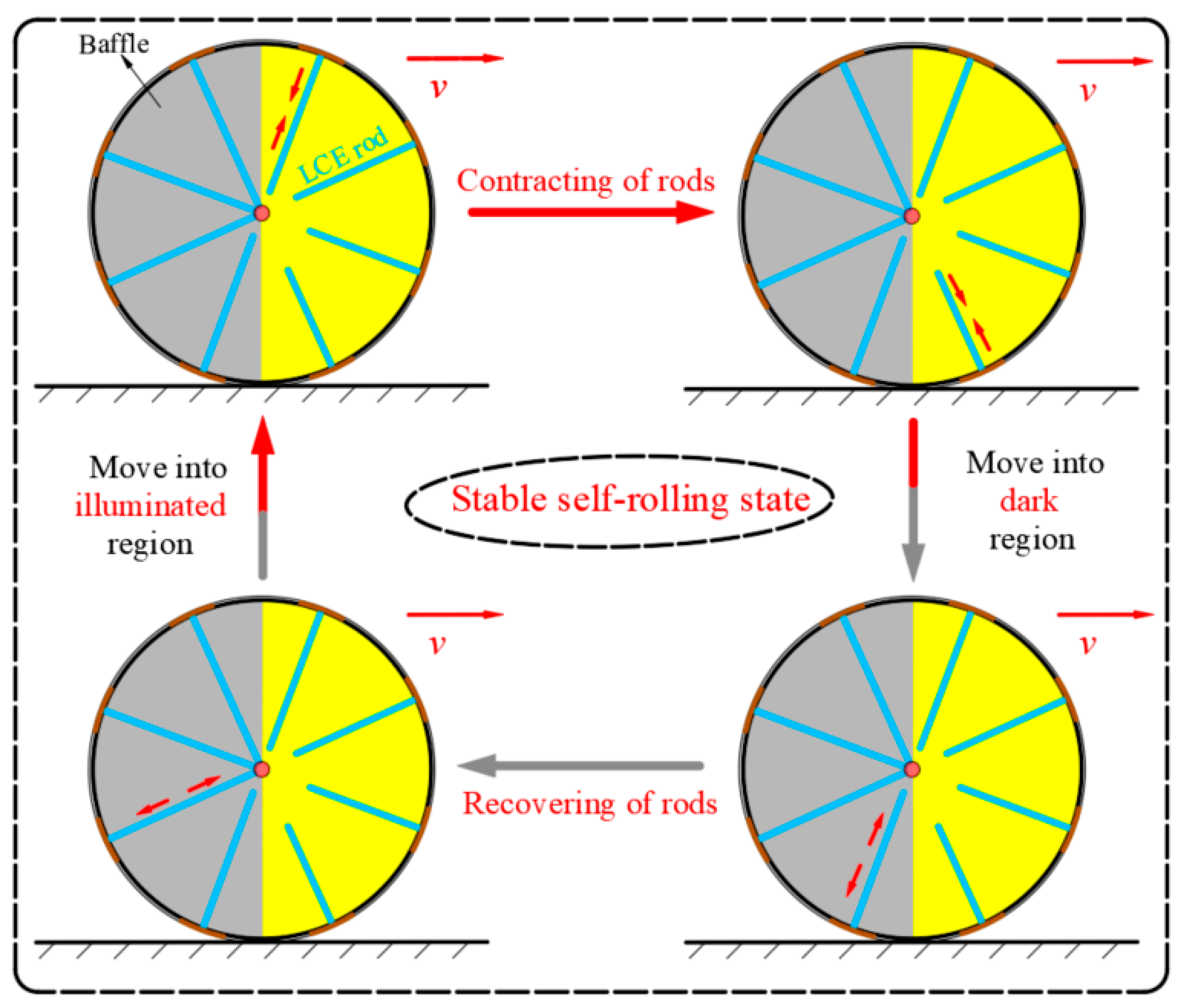 The Light-Fueled Stable Self-Rolling of a Liquid Crystal Elastomer ...