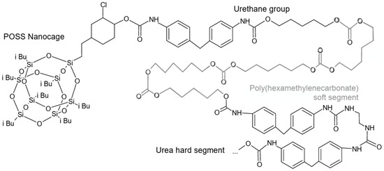 Polymeric Heart Valves: Do They Represent a Reliable Alternative to ...