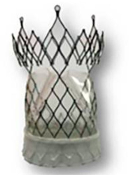 Polymeric Heart Valves: Do They Represent a Reliable Alternative to ...