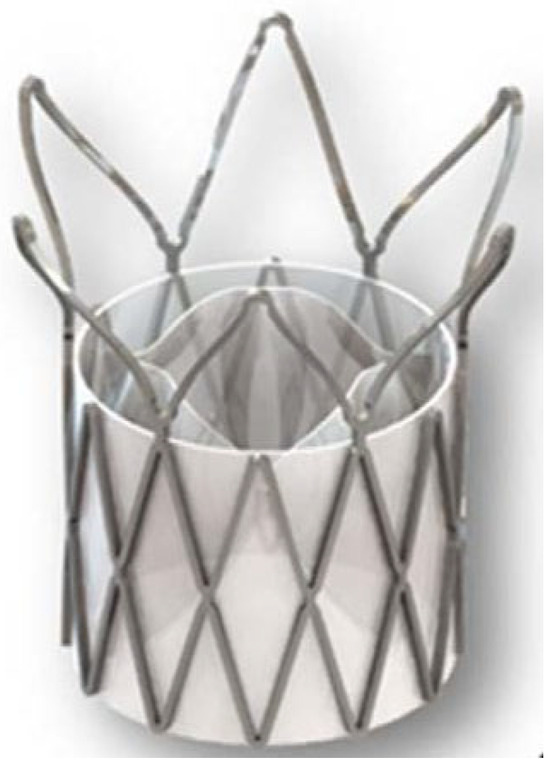 Polymeric Heart Valves: Do They Represent a Reliable Alternative to ...