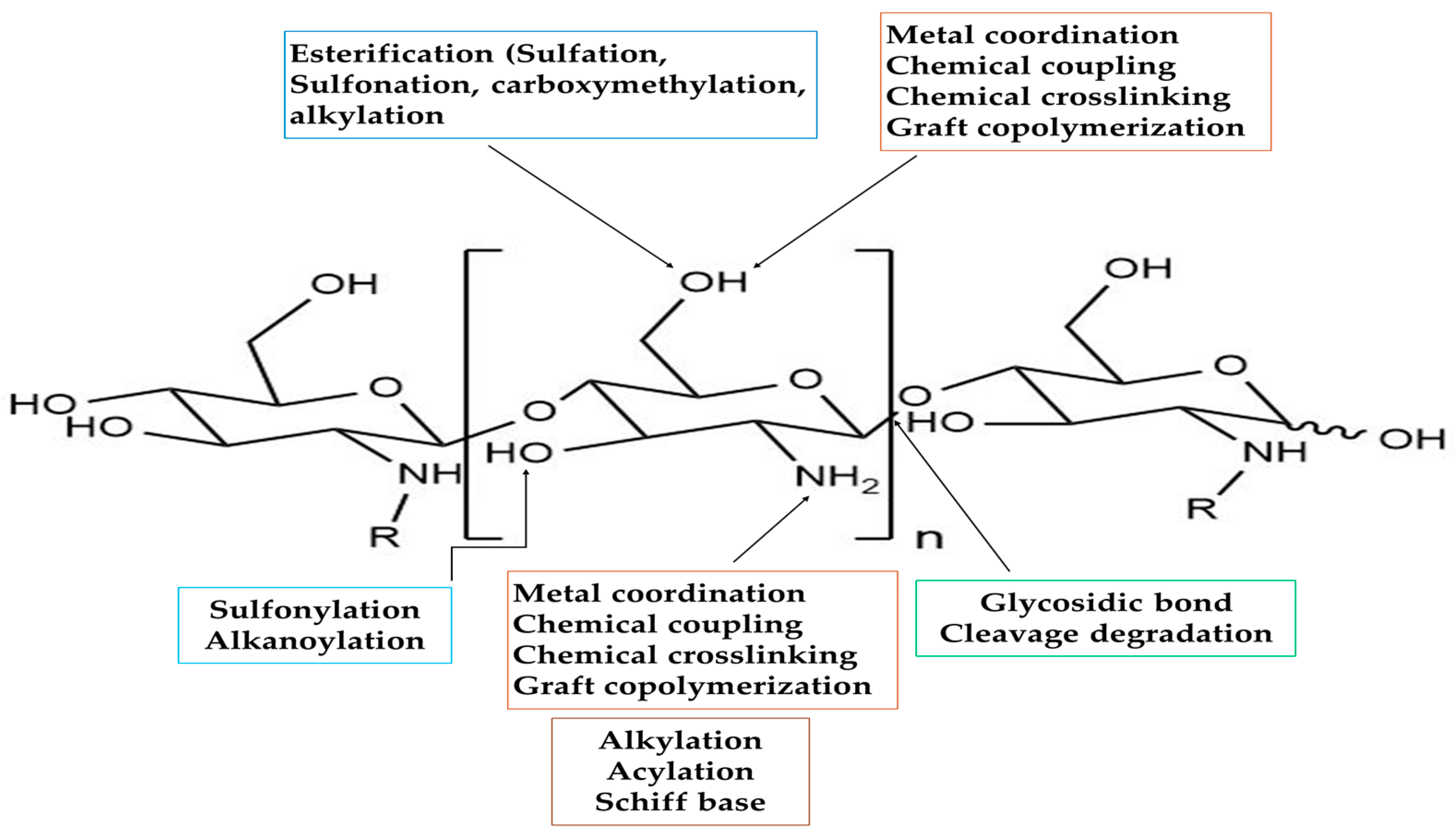 Research Advances in Natural Polymers for Environmental Remediation