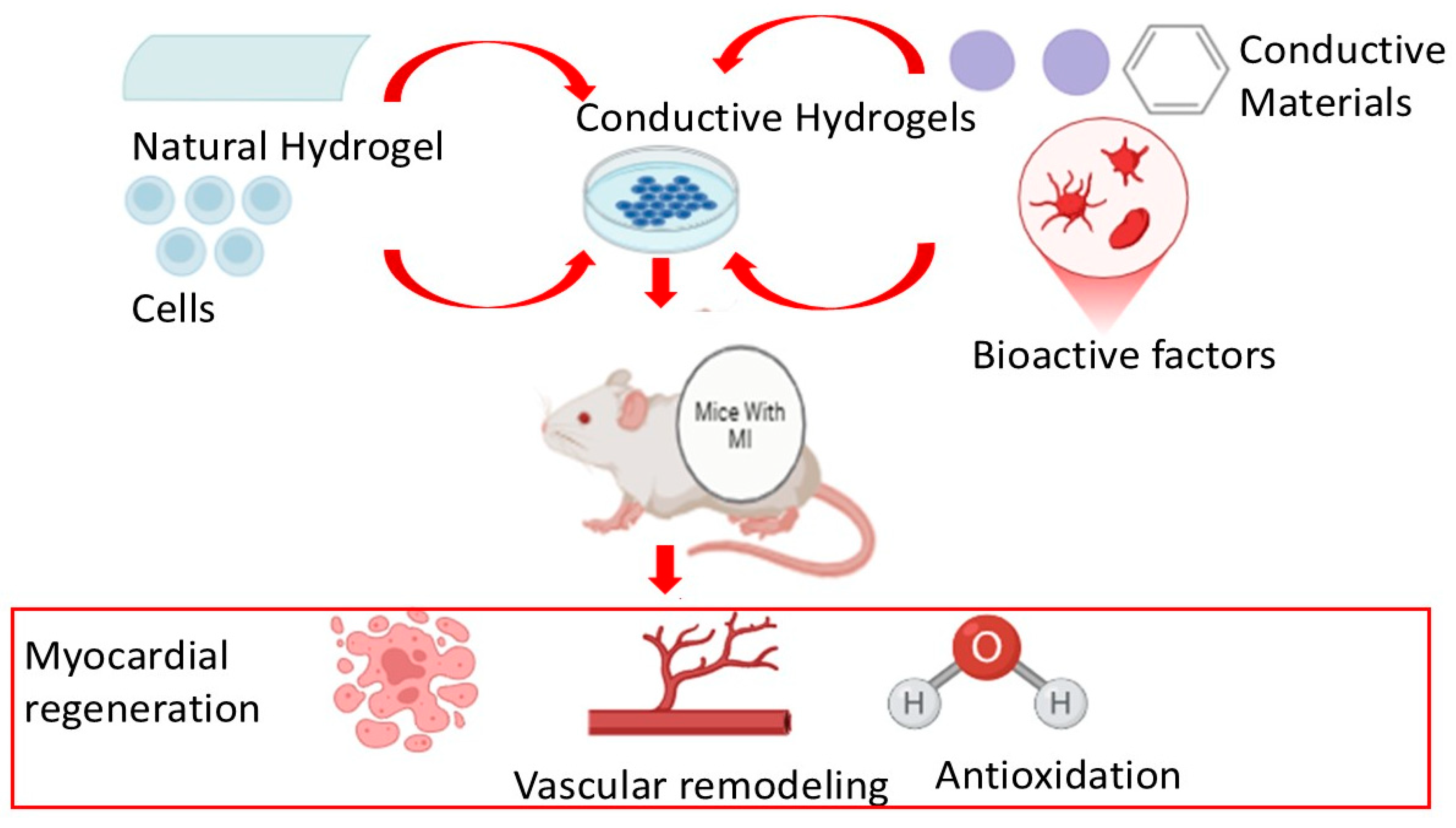 Advances in Conductive Biomaterials for Cardiac Tissue Engineering: Design, Fabrication, and ...