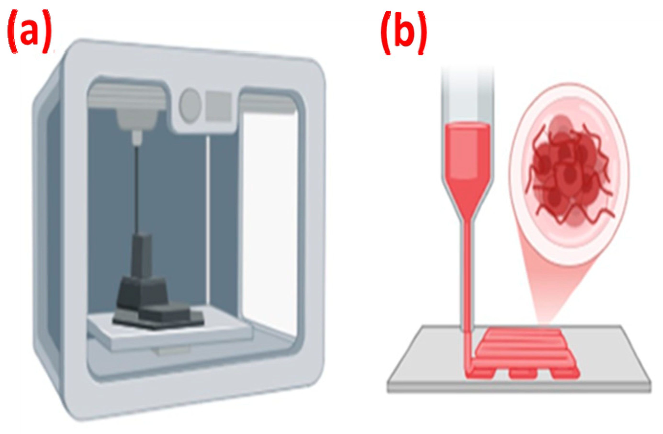 Advances in Conductive Biomaterials for Cardiac Tissue Engineering: Design, Fabrication, and ...