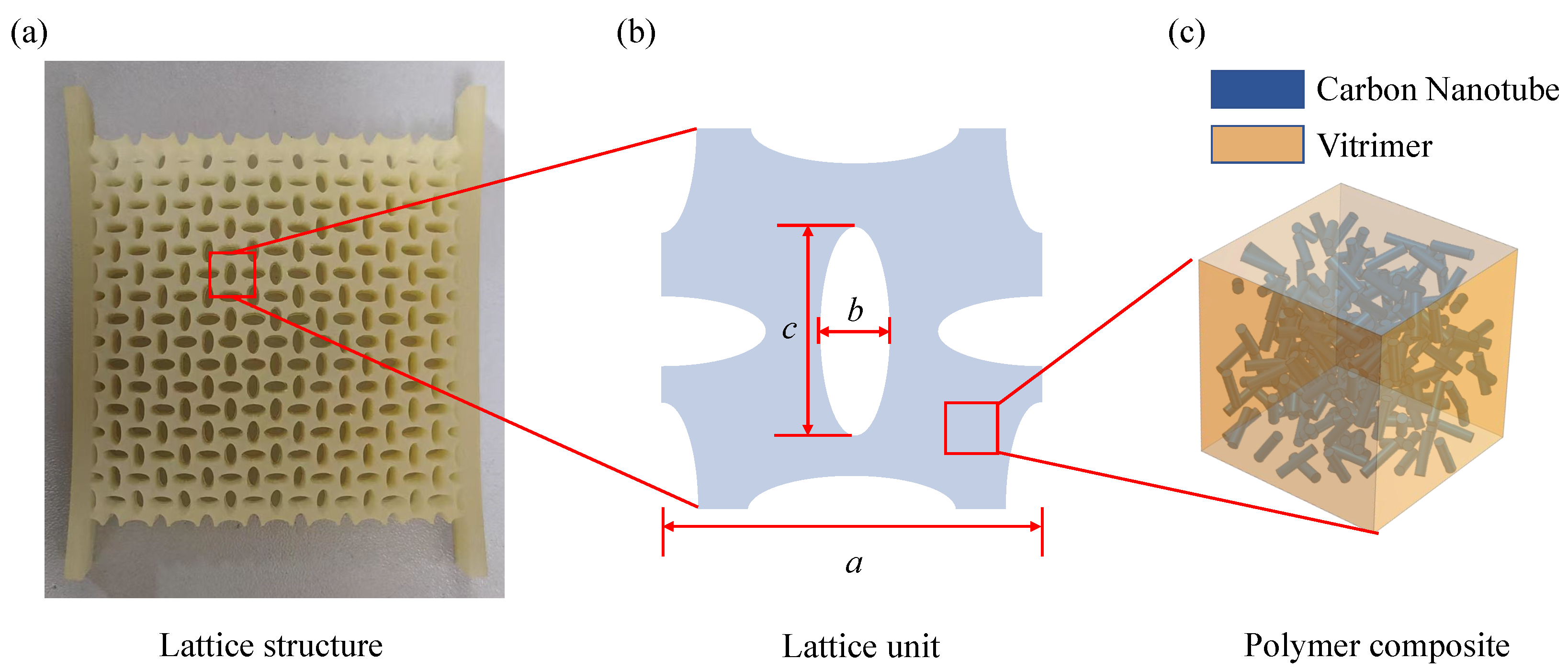 A Surface-Enabled Computational Homogenization Method for Variable-Density Polymer Lattice ...