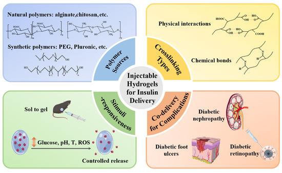 Advancements in Injectable Hydrogels for Controlled Insulin Delivery: A ...