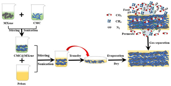 Advancements in Cellulose-Based Materials for CO2 Capture and Conversion