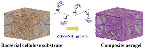 Advancements in Cellulose-Based Materials for CO2 Capture and Conversion