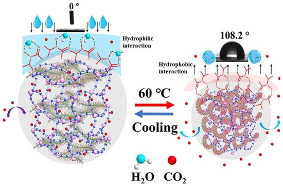Advancements in Cellulose-Based Materials for CO2 Capture and Conversion