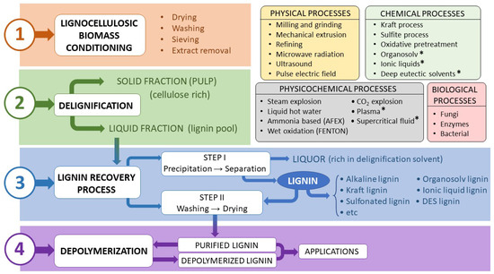 Lignin from Plant-Based Agro-Industrial Biowastes: From Extraction to ...