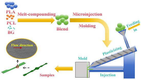 Structure and Property Evolution of Microinjection Molded PLA/PCL ...