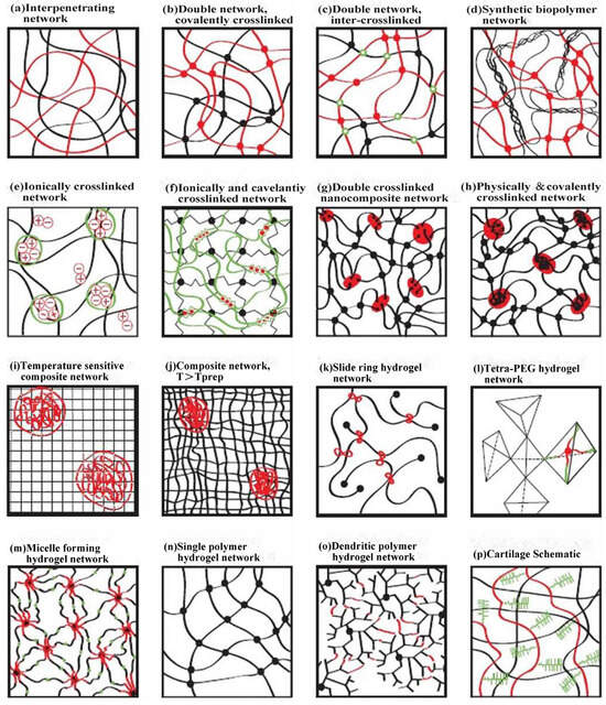 Recent Progress in Cellulose-Based Conductive Hydrogels