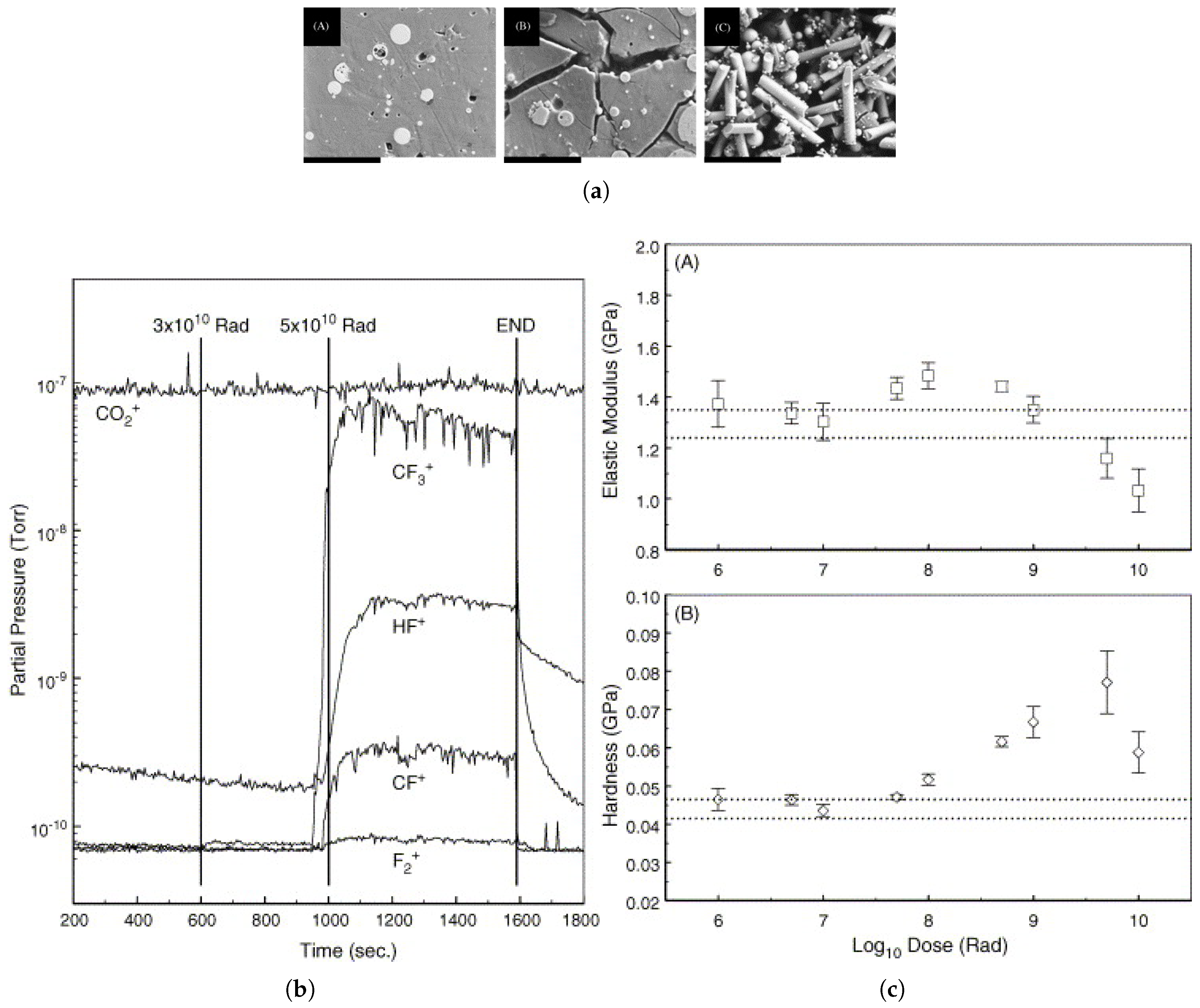 Ionizing Radiation and Its Effects on Thermoplastic Polymers: An Overview