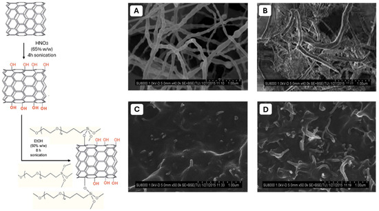 Poly(propylene fumarate) Composite Scaffolds for Bone Tissue ...