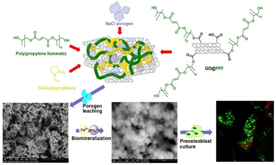 Poly(propylene fumarate) Composite Scaffolds for Bone Tissue ...