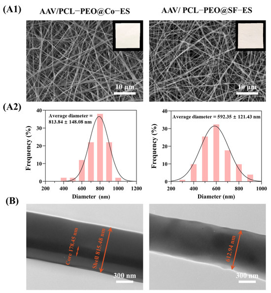 Development and Characterization of Adeno-Associated Virus-Loaded ...