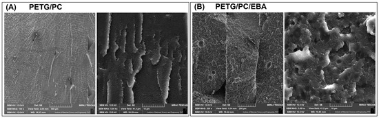 The Application of Montmorillonite (MMT), Halloysite (HNT), and Carbon ...
