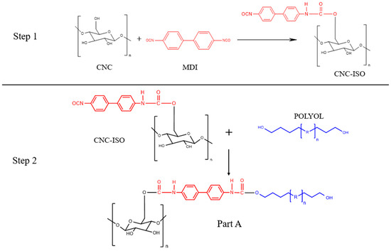Reactive Nanofiller Reinforced Hybrid Polyurea: The Role of CNC in ...