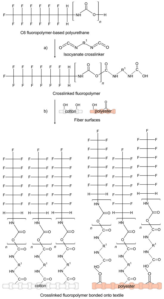 Eco-Friendly Octylsilane-Modified Amino-Functional Silicone Coatings ...