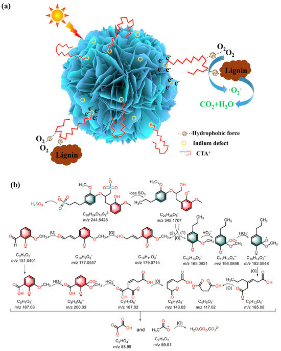 Advancements in Catalytic Depolymerization Technologies