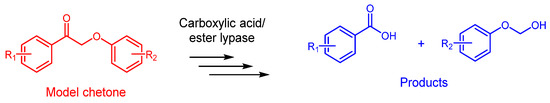 Advancements in Catalytic Depolymerization Technologies