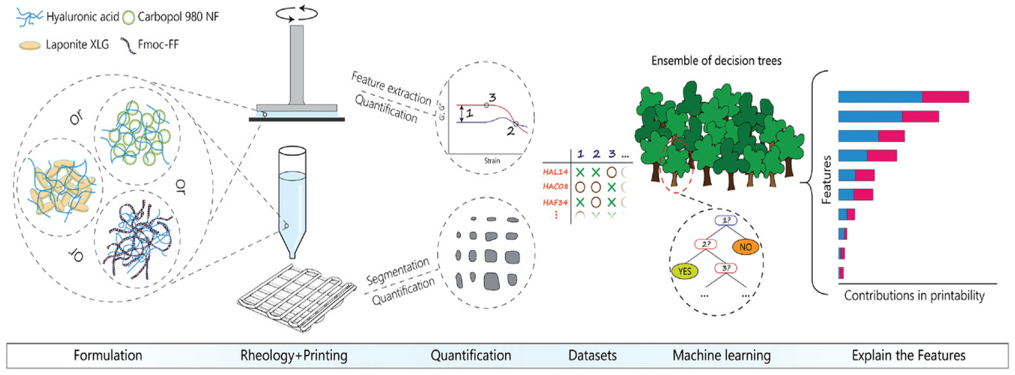 Machine Learning in Predicting and Optimizing Polymer Printability for 3D Bioprinting