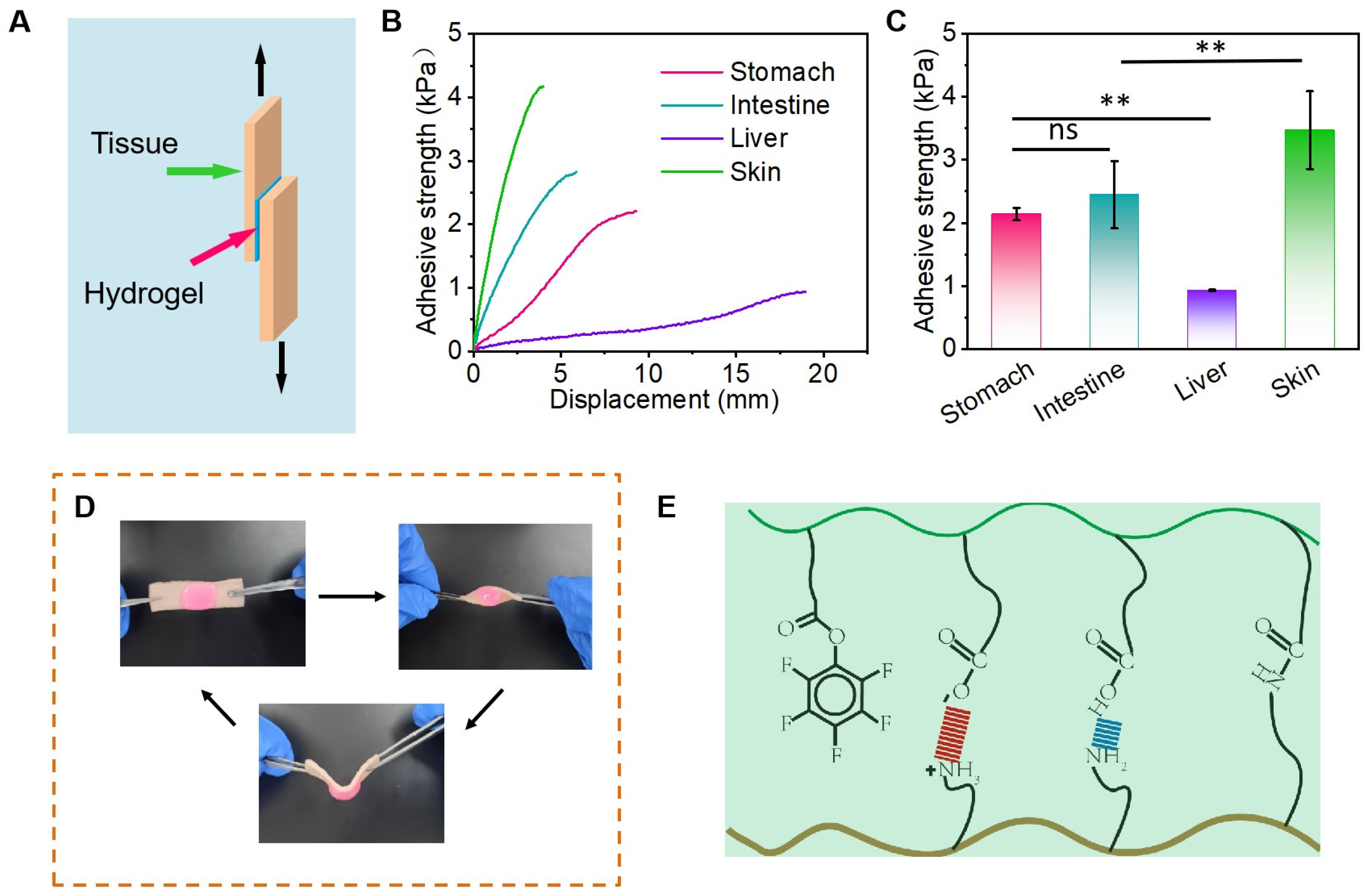 Temperature-Responsive and Self-Healing Hydrogel: A Novel Approach to ...