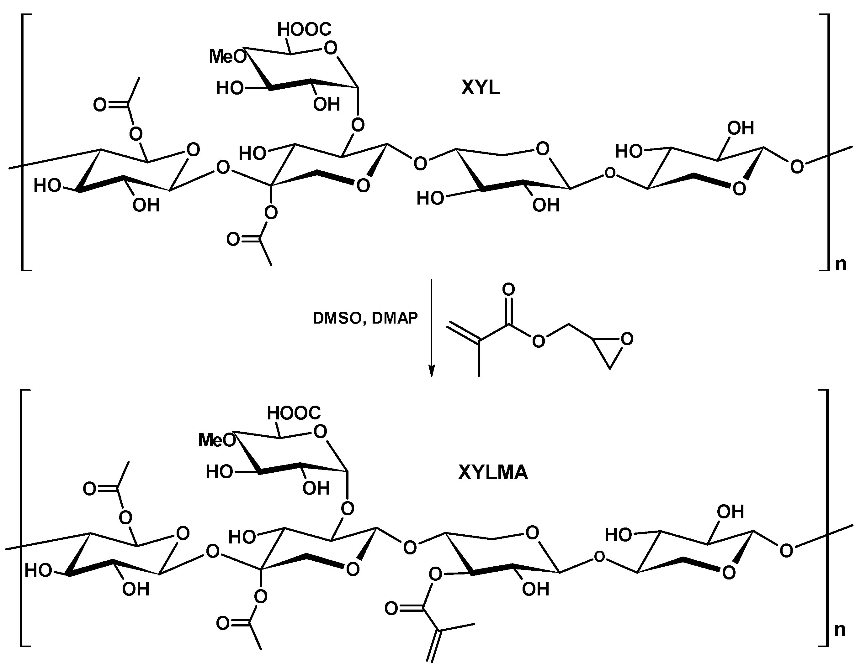Assessment of the Interactions Between Hemicellulose Xylan and ...