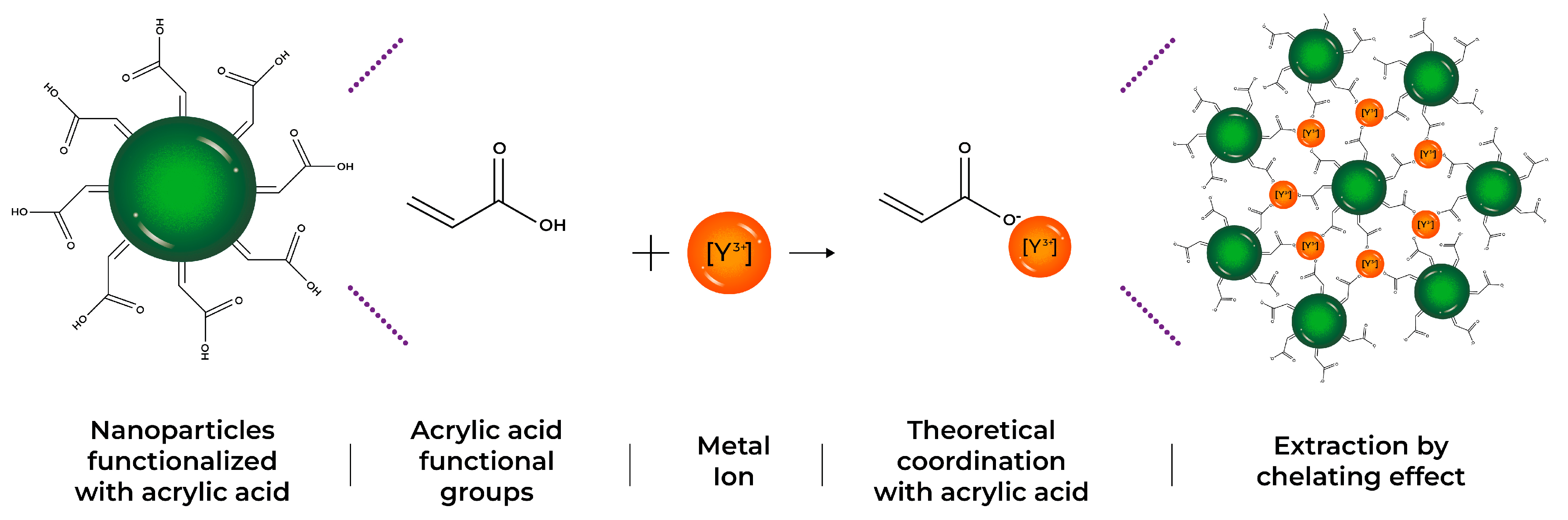 Functionalized Polymeric Nanoparticles for Yttrium Recovery by ...