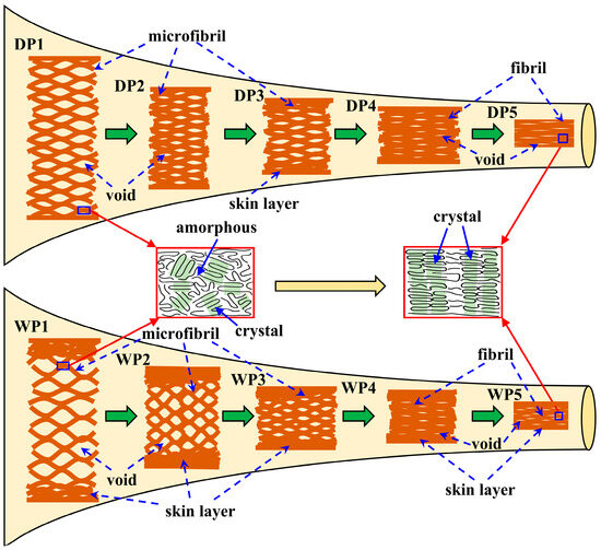 Evolution of Microstructure and Performance in Polyacrylonitrile Precursor Fibers: A Comparison ...
