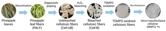 Processing of Pineapple Leaf Fibers for the Production of Oxidized ...
