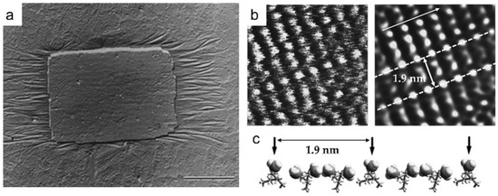 Recent Progress on the Characterization of Polymer Crystallization by ...