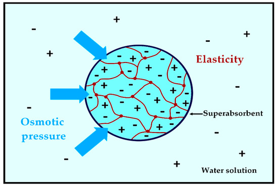 Biosourced Polysaccharide-Based Superabsorbents