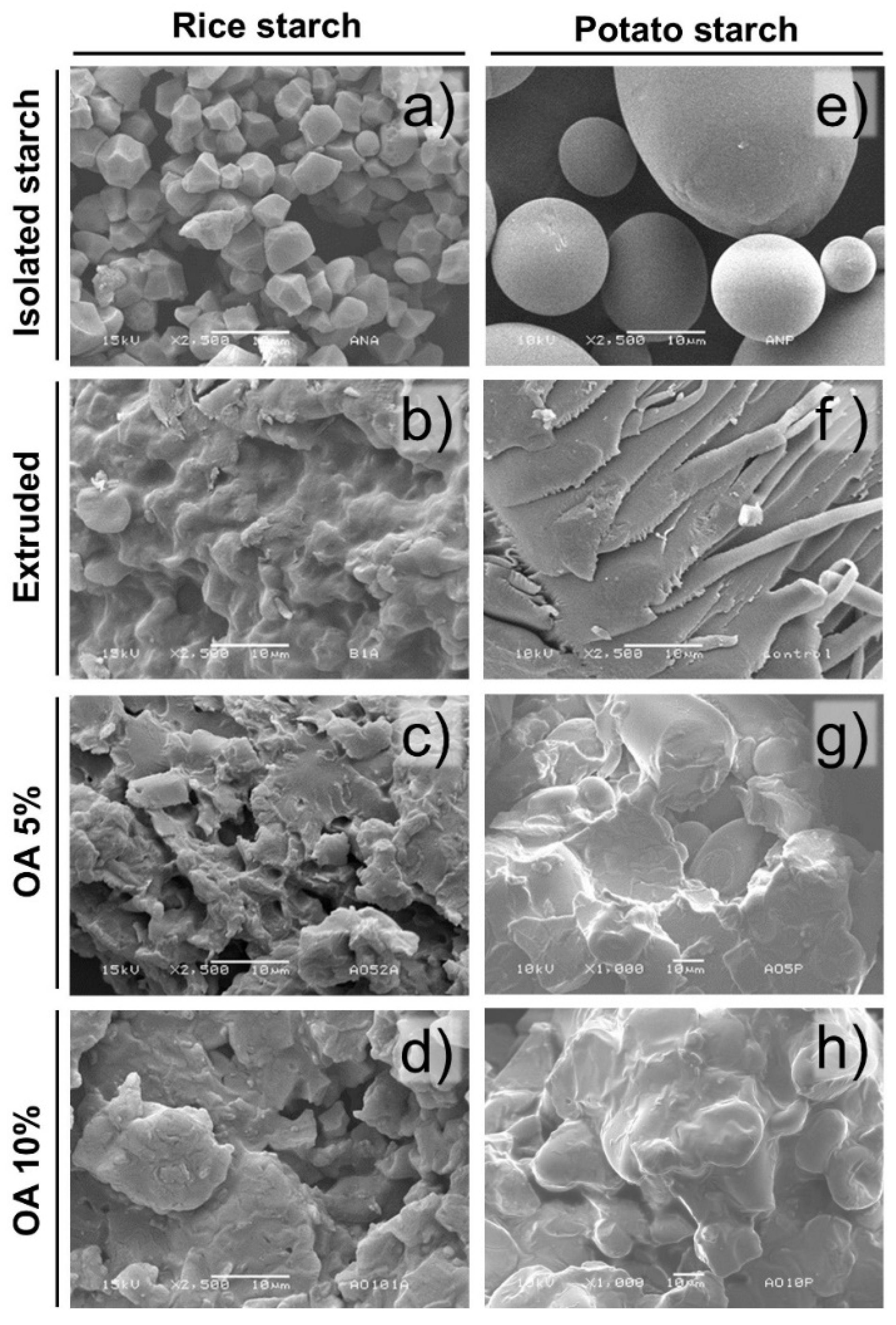 Effect of Extrusion on the Crystalline Structure of Starch during RS5 ...
