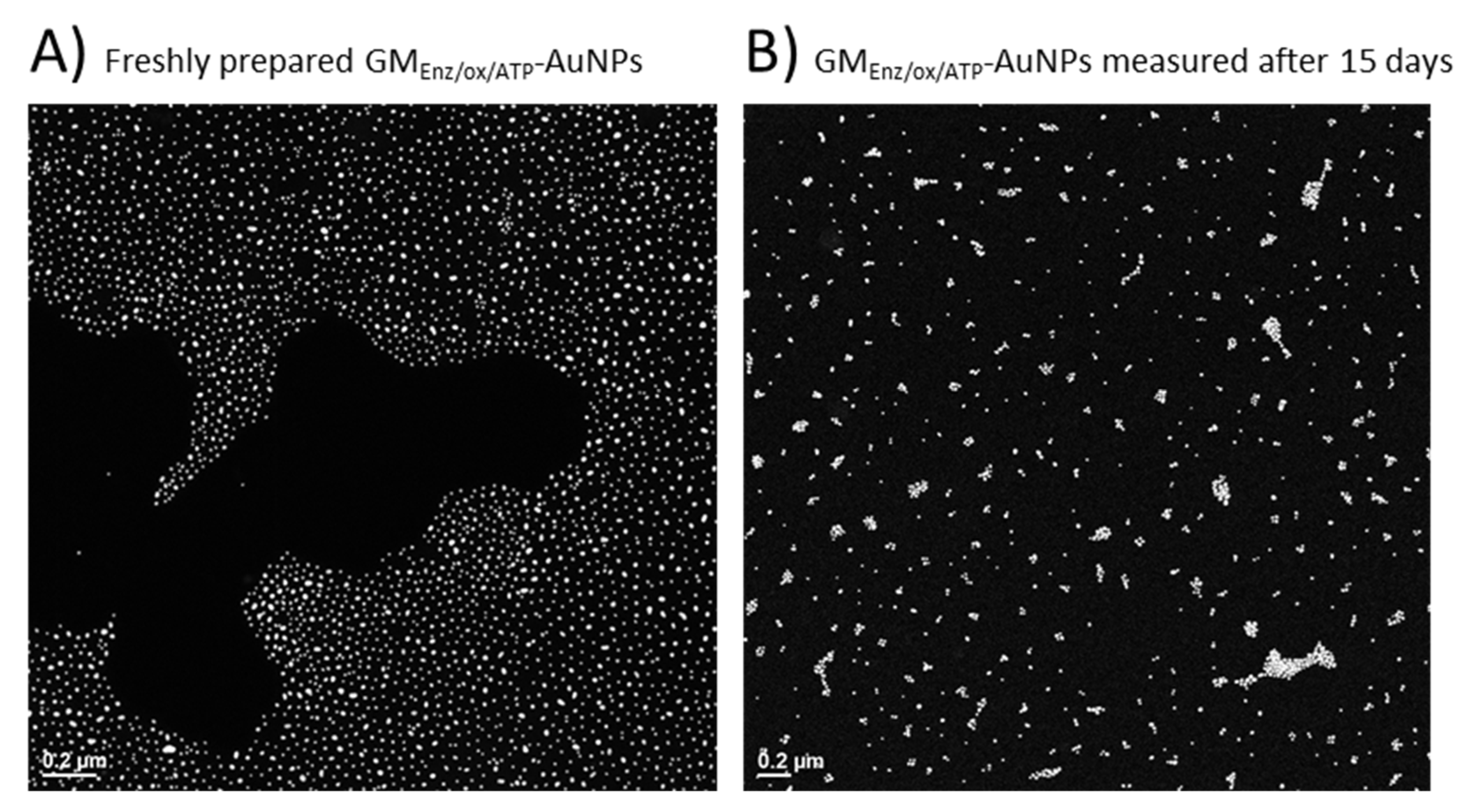 Dietary Fiber-Tethered Gold Nanoparticles: An Innovative Analytical ...