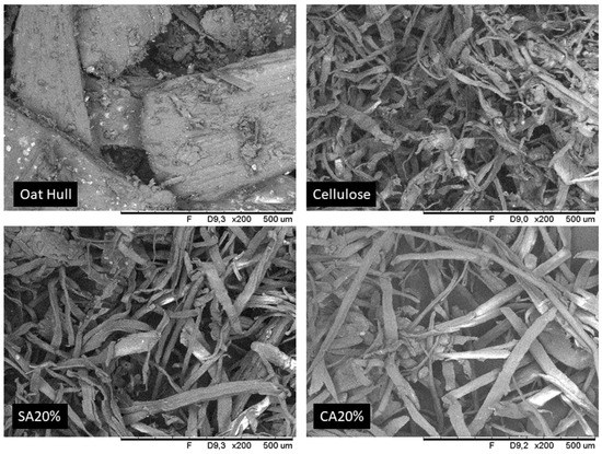 Polysaccharides | An Open Access Journal from MDPI