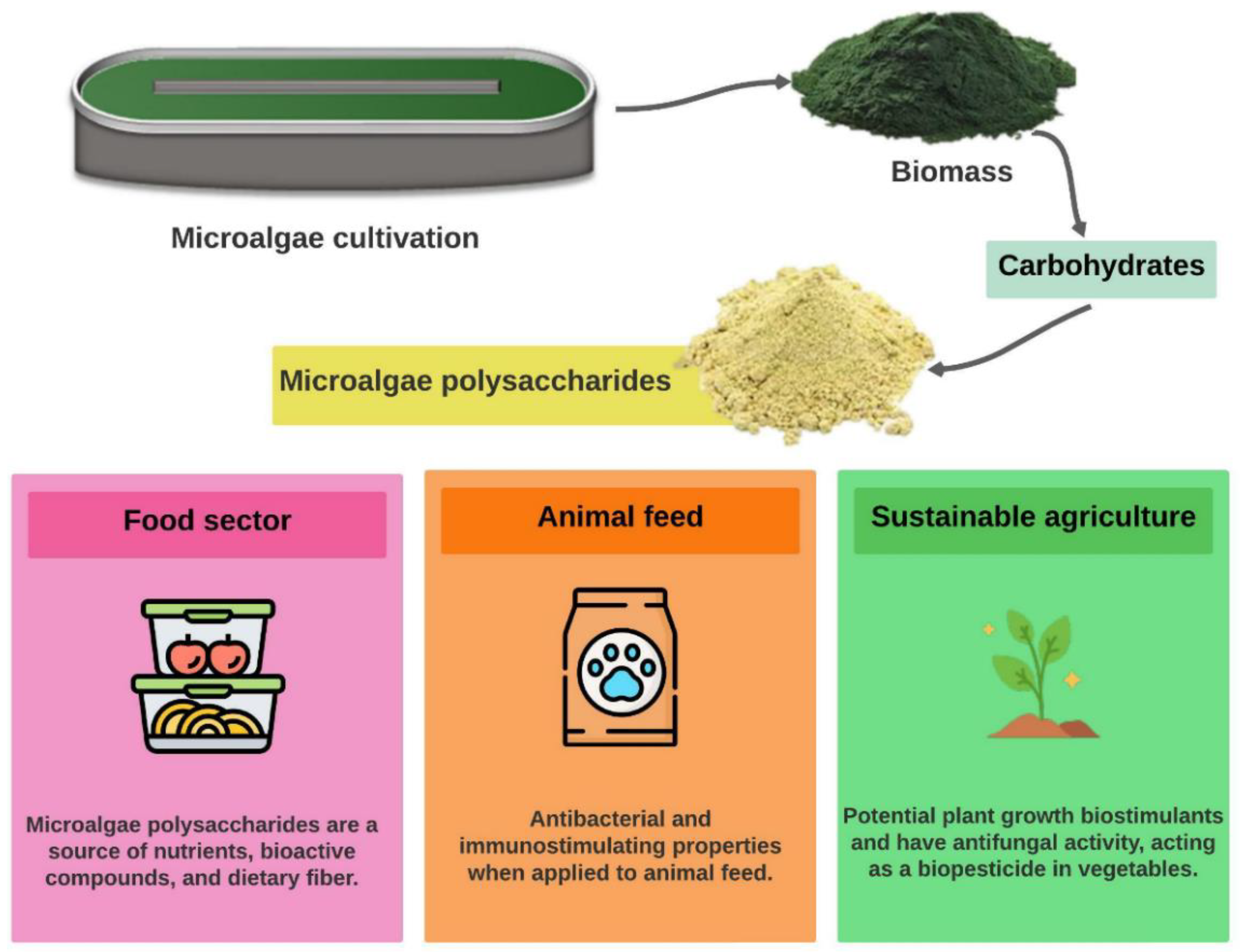 Microalgae Polysaccharides: An Alternative Source for Food Production and Sustainable Agriculture