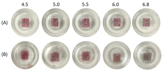 Anthocyanins of Açaí Applied as a Colorimetric Indicator of Milk ...