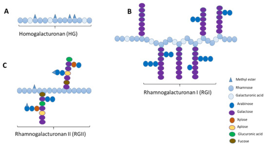 Potential Biomedical Applications of Modified Pectin as a Delivery ...