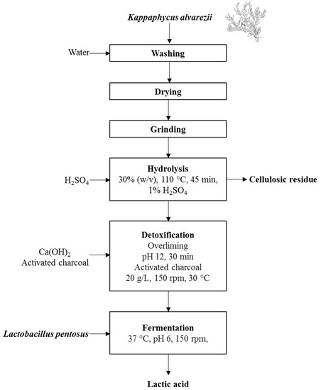 Lactic Acid Fermentation of Carrageenan Hydrolysates from the Macroalga ...